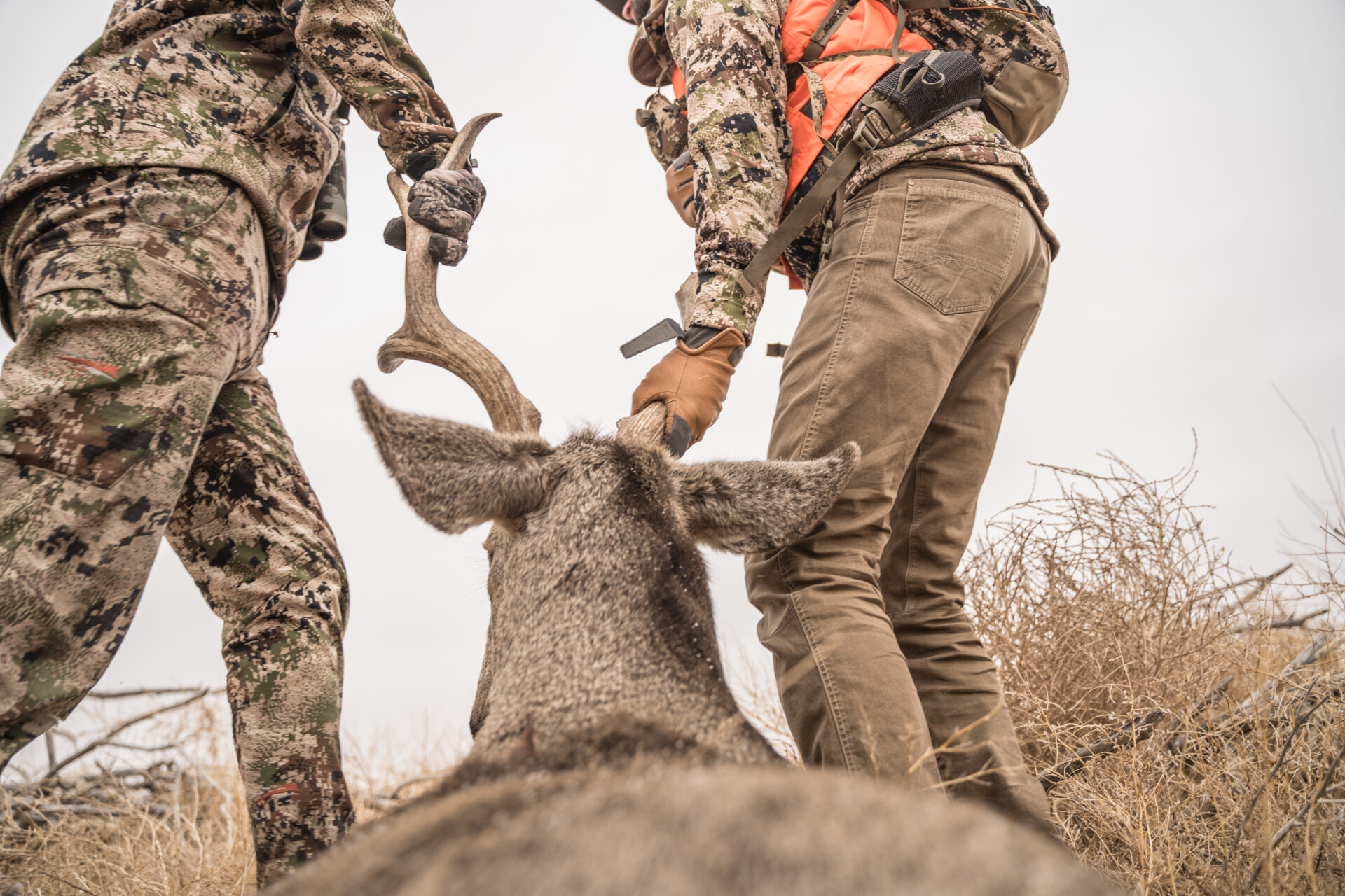 Ethical Hunting in Berthoud, CO | Eastern Plains Outfitters